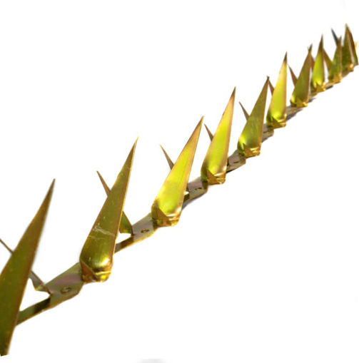 WALL SPIKE GOLD MK3 x 1.5 x 30