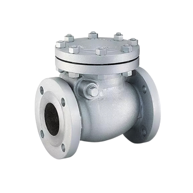 Non return valve, L&T, 250mm, 300#, WCB, F6, MESC Specification